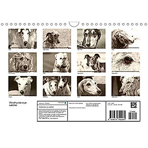 Windhunde eye-catcher (Wandkalender 2020 DIN A4 quer): Sepia-colorierte Fotos vom Galgo Español (Monatskalender, 14 Seiten )
