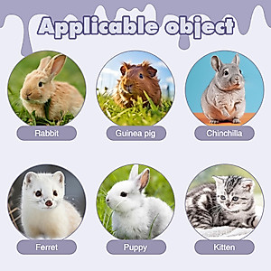 Apatal Hanging Automatic Rabbit Food and Water Dispenser for Cage, Gravity Bunny Pellet Feeder Plastic Small Animal Feeding & Watering Supplies for Ferret Puppy Kitten Guinea Pig Crate (Gray)