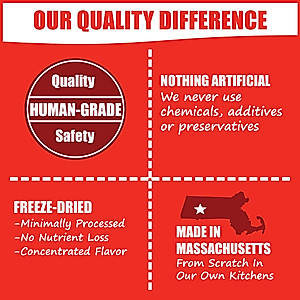 Whole Life Pet Cat Urinary Supplement, Feline UTI Remedy & Prevention, Urinary Tract Infection Treatment - Natural Cranberry for Cats, Cat Probiotic for Health & Digestive Support - 30-Day Supply