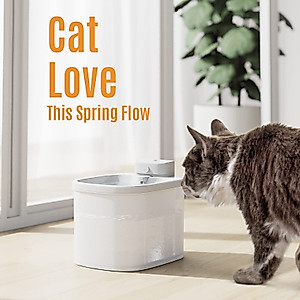 MEGADOO Wireless cat Fountain, Battery Driven Automatic Fountain with Motion Sensor, 74oz/2.2L Ultra Quiet cat Fountain Basin, with 3 Large Filters, Suitable for Cats, Dogs, and Multiple Pets