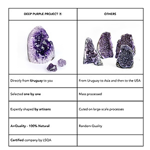 DEEP PURPLE PROJECT Large Amethyst Clusters 1 Lb to 1.7 Lb Quartz Crystal Geode Plus: Premium Gift Box Spiritual Healing Stone