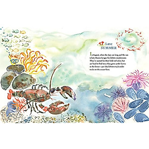 Mason Goes Mushrooming