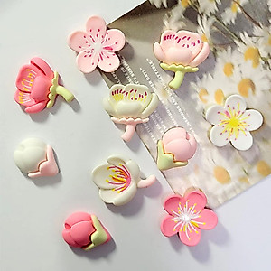 12 PCS Colorful Flower Fridge Magnet, Cherry Blossoms Refrigerator Magnets, Flower Magnets Novelty Office Home Kitchen Accessories Whiteboard Magnets