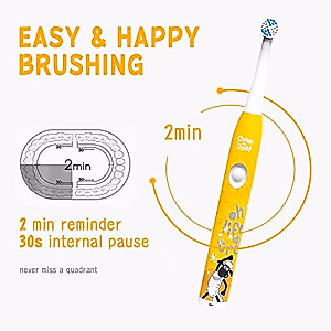 SAIPOTOYS Kids Electric Toothbrush with Timer,Shaun The Sheep Kids Electric Toothbrush w/Sensitive Brush Head,Built in 2-min Auto-Timer,IPX7 Waterproof, Automatic Toothbrush for Kids 3+ (Yellow)