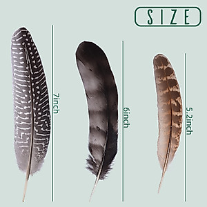 Natural Turkey Spotted Feathers for Crafts Pheasant Feathers DIY Wedding Home Party Decorations 36Pcs