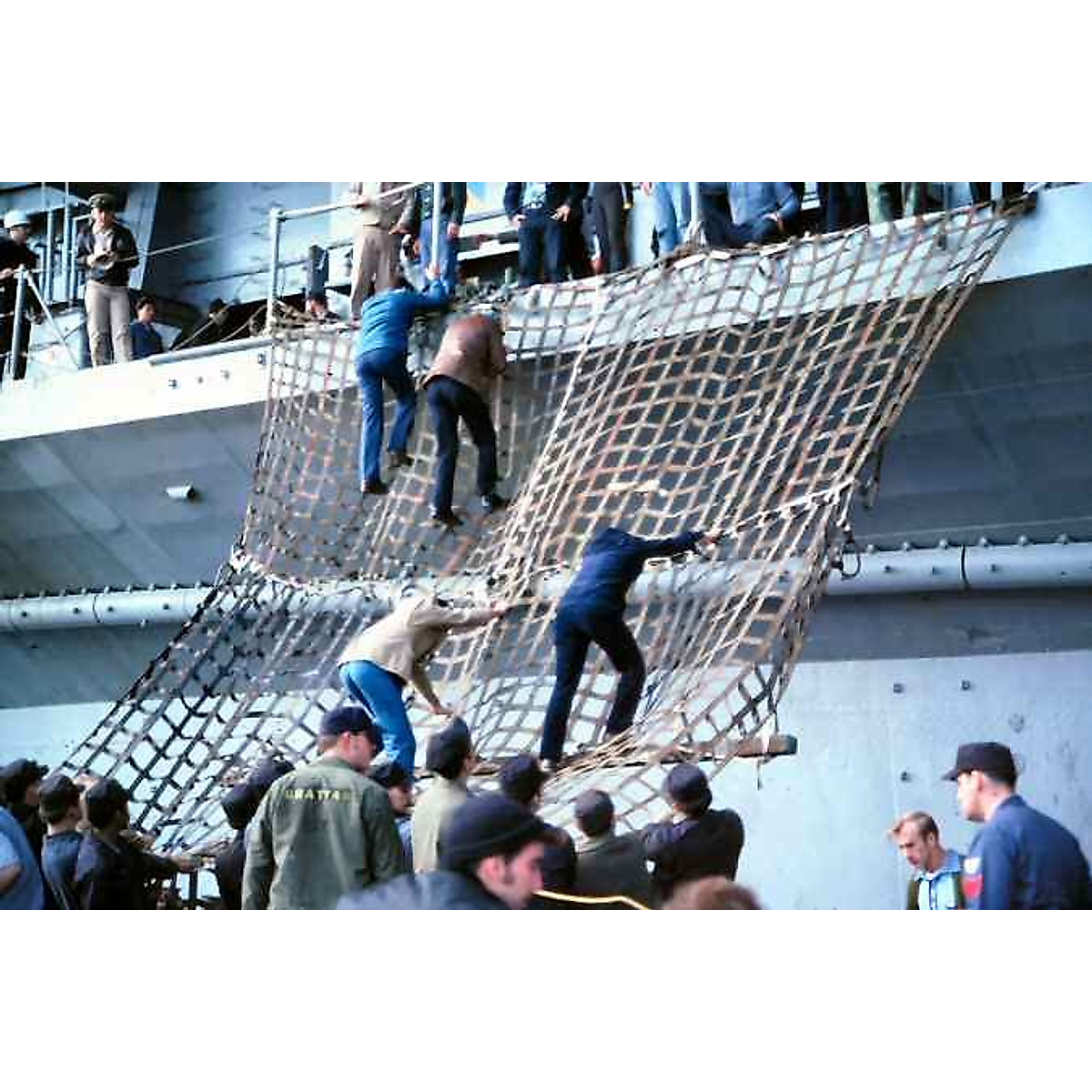 KHTS6310 ® The Original Made in USA Critter Pool Escape Net-Animal Escape Ramp for Pools- Save Critters in Swimming Pool Device-Frog Pool Escape-Mice-Rats -etc.