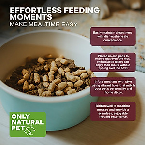 Only Natural Pet Meal Time Pet Bowl Dog Food Bowl - 50% Plant-Based, Eco-Friendly, BPA & Phthalate-Free, No-Slip Bottom, Dishwasher Safe, Ideal for Large-Sized Dogs - Teal, Large 7.5" x 2"
