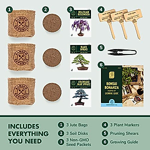 Bonsai Tree Kit - Grow 3 Mini Bonsai Trees, Indoor Plant Growing Kit - Bonsai Starter Kit with Bonsai Seeds, Soil, Planters & Shears, Gardening Gifts for Women, Fathers Day Gardening Gifts