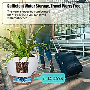 SwinDuck 10 Inch Self Watering Hanging Pots, 2 Pack Hanging Planters with 40oZ Deep Reservior for Indoor Outdoor Plants Flowers, White with Brown