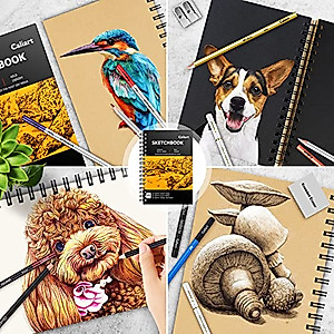 Caliart Art Supplies, Drawing Supplies, Premium Art Set Sketching Kit with 100 Sheets 3-Color Sketch Book, Graphite, Colored, Charcoal, Watercolor & Metallic Pencils for Artists Adults Teens Beginners