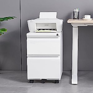 SISESOL 2 Drawer File Cabinet with Lock, Under Desk Metal Filing Cabinet for Home Office,Lockable Rolling File Cabinet with 2 Keys for Legal/Letter/a4 Size