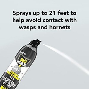 Raid Max Foaming Wasp & Hornet Killer, Fast Coverage Foam, Bug Killer Kills The Entire Nest, 16.5 oz