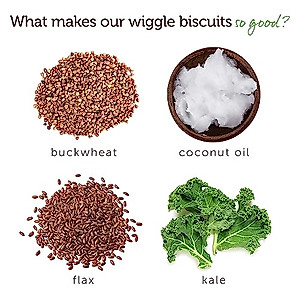 V-dog Treat Bundle for Large Dogs | 100% Vegan Jerky Treats | Vegan Soft and Chewy Dog Biscuits (Natural Blueberry Natural Peanut Butter) | Vegan Breathbone Teeth Cleaning Dental Bones