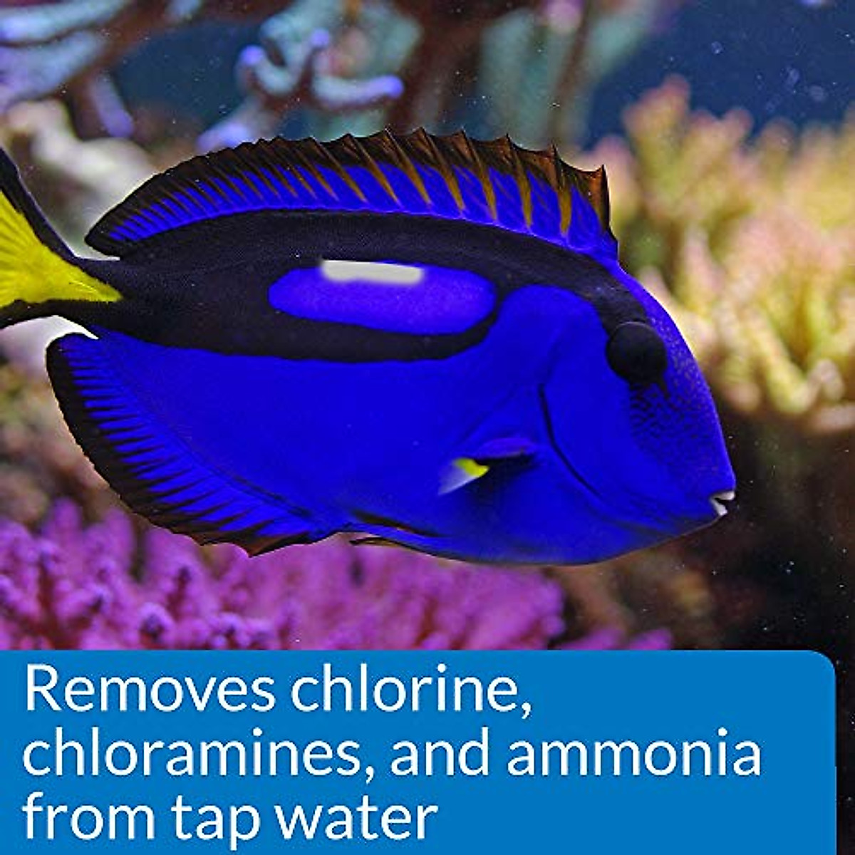 API MARINE STRESS COAT Saltwater Aquarium Water Conditioner 16-Ounce Bottle (385D)