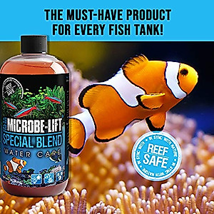 ECOLOGICAL LABS MicrobeLift Special Blend (4 oz)