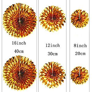 Black Gold Party Hanging Paper Fans - Wedding Anniversary Graduation 30th Birthday Bachelorette Retirement Christmas New Years Party Wall Hangings Photo Booth Backdrops Decorations, 12pc