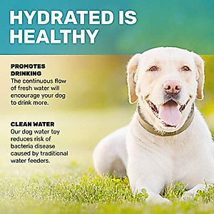 Dog Fountain Water Fountain For Dogs Dog Sprinkler Dog Toys for Large Or Small Dog Bowl Alternative Pet Water Fountain Dog Drinking Fountain