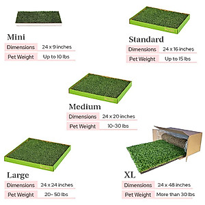 DoggieLawn XL - Real Grass Disposable Pet Potty - 48 x 24 Inches with Plastic Tray - Potty Training Pad for Dogs