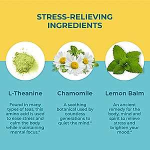 Stress Busters Gummies by Hyland's Naturals, Calm and Focus with L-Theanine, Chamomile and Lemon Balm, 60 Vegan Gummies (30 Days)