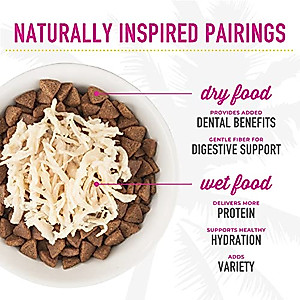 Tiki Cat Born Carnivore Functional Topper Skin & Coat, Salmon in Broth, Highly Palatable with Aromatic Salmon for Picky Eaters, Wet Cat Food Mousse, 1.5 oz. Pouch, (Pack of 12)