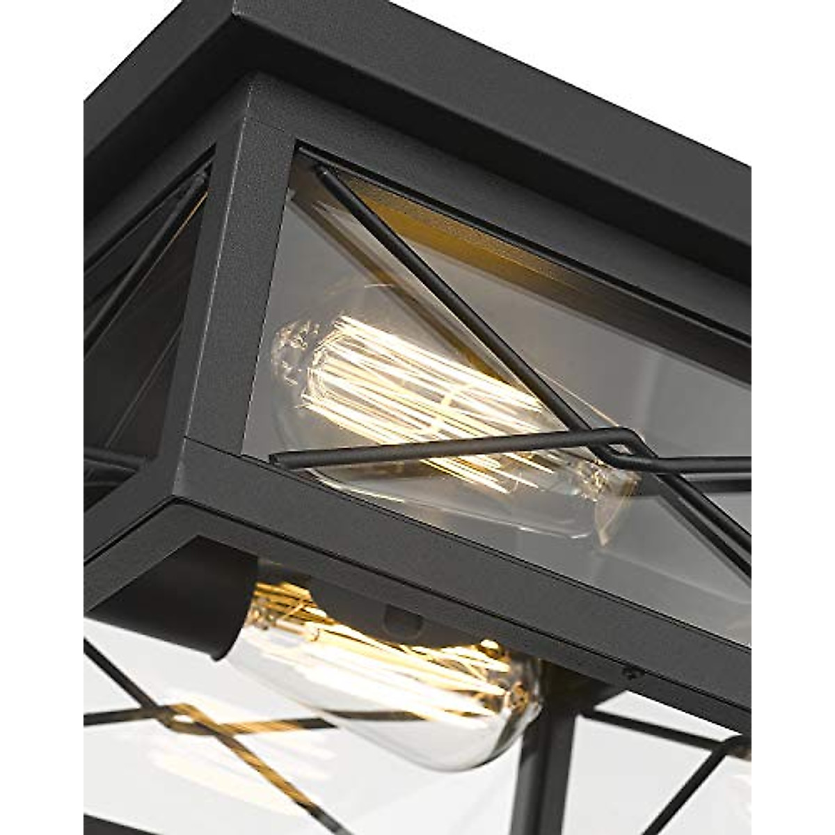 Emliviar 12 Inch Ceiling Light Fixture, 2-Light Flush Mount Ceiling Light in Black Finish, 0387B-CL BK