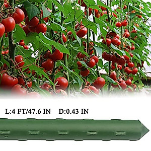 Sunnyglade 48” Plant Stakes Garden Tomato Sticks Plant Stakes & Supports for Potted Plants