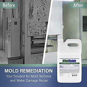 Vital Oxide Disinfectant, Deodorizer, Cleaner, Food-Contact Sanitizer, Virucide – (EPA registration #82972-1) – Kills Mold & Mildew, Eliminates Odors – 1 Gallon, 32 oz, & 3 oz