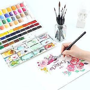 Transon 10pcs Miniature Model Natural Hair Round Painting Brush Set for Warhammer 40k Detail Art Painting Watercolor Painting Acrylic Painting Gouache and Ink Painting