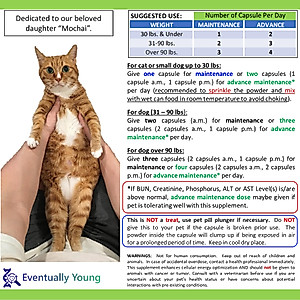 Eventually Young 12-in-1 Kidney Support for Dog & Cat with NMN & Fisetin - Super Phosphate Binder Kidney and Liver Supplement for Feline, Canine Healthy Aging & Longevity (60 Capsules)