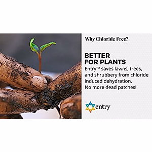 Branch Creek Entry Chloride-Free, Non-Toxic, Liquid Snow and Ice Melt Certified Safe for Pets, Plants, Floors, Concrete, Sidewalks, and Metal for Residential or Commercial Use (0.5 Gallon)