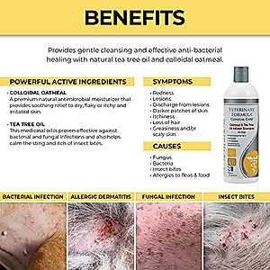 Veterinary Formula Clinical Care Dog Shampoo with Oatmeal and Tea Tree Oil, 16 oz – Gentle Shampoo for Dogs with Dry Skin, Soothes and Adds Moisture to Skin and Coat