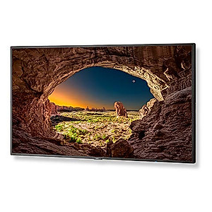 NEC V554 55" Commercial-Grade Large Format Display LED Monitor w/Speakers