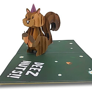Sleazy Greetings Squirrel Pop Up Birthday Card | Funny Birthday Card for Men Women | Squirrel 3D Greeting Cards 5x7 Inch