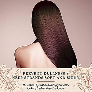 Begin Beautifully Color-Safe Shampoo, Conditioner and Blow-Dry Detangler Spray Set For Natural and Curly Hair - Color-Safe to Minimize Fading