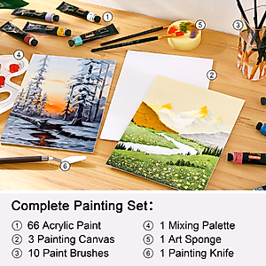82 Pack Acrylic Paint Set, Shuttle Art 66 Colors Acrylic Paint with 10 Brushes, 22ml/0.74oz Tubes, Vibrant Colors, Artist Painting Supplies for Kids, Adults Painting & Crafting on Canvas, Wood Ceramic