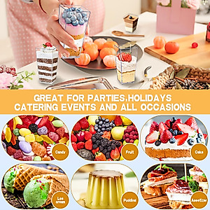 Vetory 50 Pack 3 oz Mini Dessert Cups,Plastic Dessert Cups with Lids and Spoons,Tall Square Clear Parfait Cups Appetizer Cups,Great for Tasting Party Desserts Appetizers Puddings Mousse