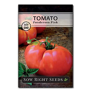 Sow Right Seeds - Ponderosa Pink Tomato Seed for Planting - Non-GMO Heirloom Packet with Instructions to Plant and Grow an Outdoor Home Vegetable Garden - Large Delicious Beefsteak - Great Gift