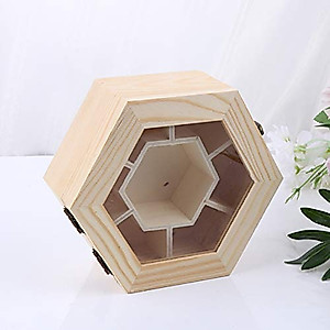 EXCEART Unfinished Wooden Jewelry Box Hexagon DIY Trinket Storage Box Blank Keepsake Organizer 7 Compartments Clear Top Craft Gift Box with Locking Clasp for Art Craft Home Decor