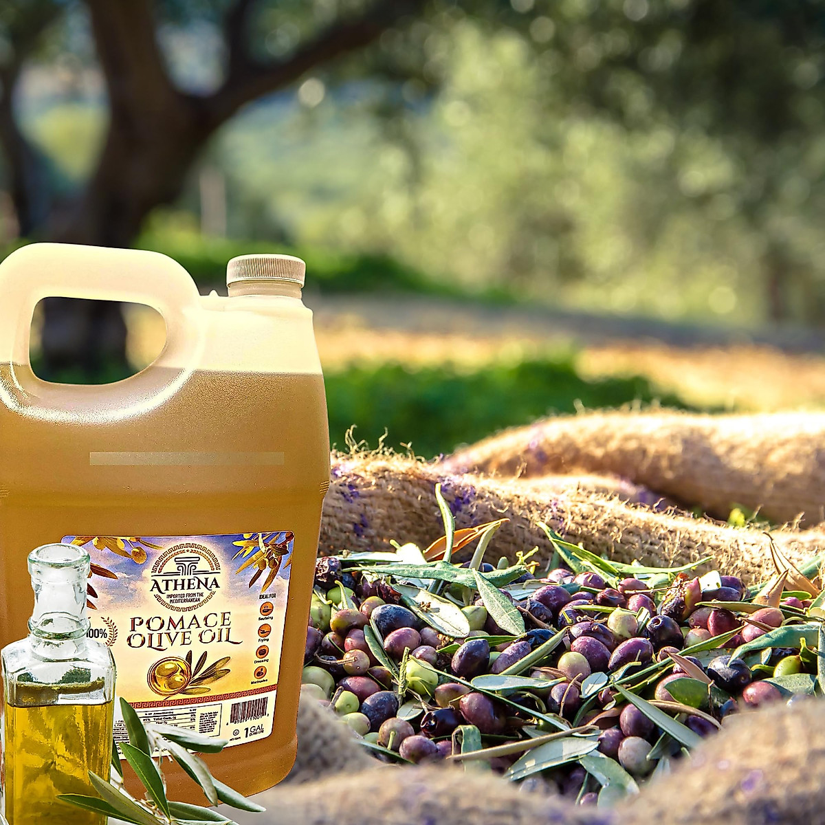 Athena • Greek Olive Oil For Soap Making • 1 Gallon (128 oz) • Pomace Grade/Food Grade • Castile Soap Base-Resealable Cap • Extra Light Olive Pomace Oil • Olive Oil Soap Supplies, Skin, Massage Oil,