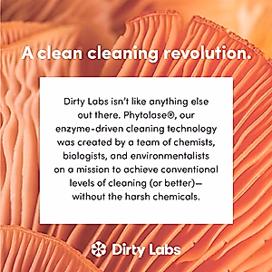 Dirty Labs | Hand Wash and Delicates | Scent Free | 32 Loads (8.6 fl oz) | Bio Enzyme Liquid Laundry Detergent | For Fine Silks, Wools, Handwash Garments | Hyper-Concentrated | Non Toxic, Biodegradable | Stain & Odor Removal