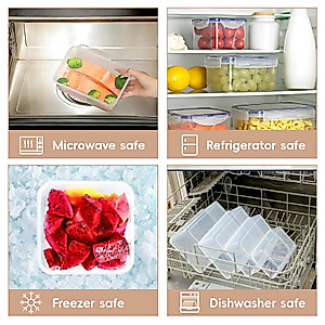 ECO-TOGO 360oz Airtight Plastic Food Storage Containers with Lids (16-Pack 360oz)