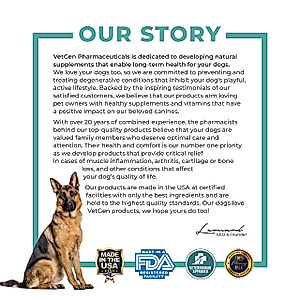 VetGen Maximum Skin & Coat Supplement | Beef Flavored Chewable Tablets for Dogs with Vitamin E, Alpha Linoleic Acid and Biotin, Vitamins for Pets, 60ct