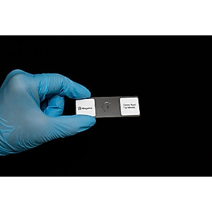 Onion Root Tips Cell Mitosis Microscope Slides, 10PCS College Level Plant Mitosis Slides for Genetics Biology Science Class