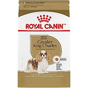 Royal Canin Cavalier King Charles Spaniel Adult Breed Specific Dry Dog Food, 10 lb bag