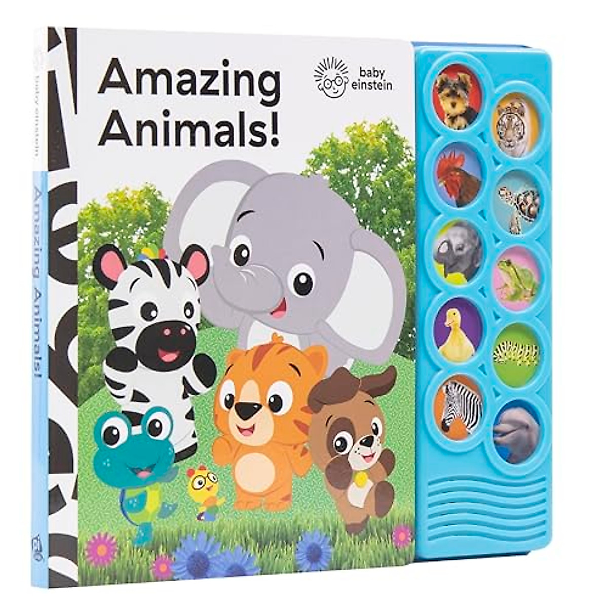 Baby Einstein - Amazing Animals 10-Button Sound Book - PI Kids (Play-A-Sound)