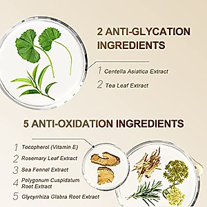 Forest Cabin Camellia Repair Essence Oil for Face, Anti Aging Serum, Promote Cell Autophagy Serum for Fine Lines and Wrinkles, 30ml