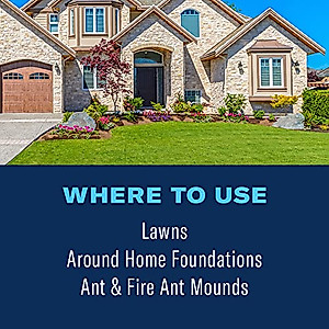 BioAdvanced Complete Brand Insect Killer for Lawns, Granules, 10 LB