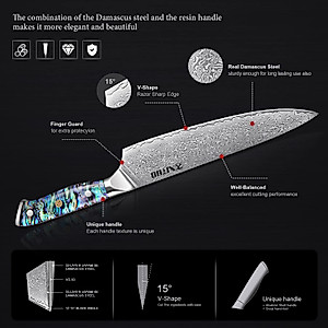 XT XITUO Knife set Knife Professional Kitchen Japanese Knife Set Steel Chef Knife Abalone Shell Handle Santoku Meat Vegetable Cleaver Cut Cutting Vegetable (8PC Chef Knife Set)