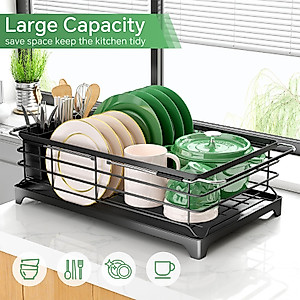Dish Drying Rack in Sink Stainless Steel Dish Racks for Kitchen Counter Expandable Dish Drainer with Removable Utensil Holder Black