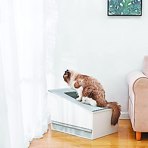 HONEY CARE Self-Cleaning Cat Litter Boxes, Automatic Cat Litter Box for Multiple Cats, APP & Alexa Voice System Smart Secure Control, Matte White
